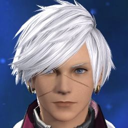Darius Bloodmane (Famfrit) - FFXIV Collect
